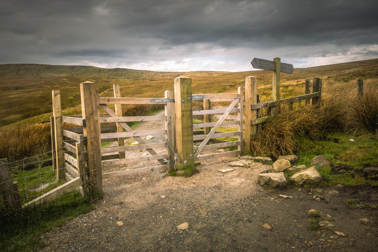 Understanding Property Rights in Trespass to Chattels Cases